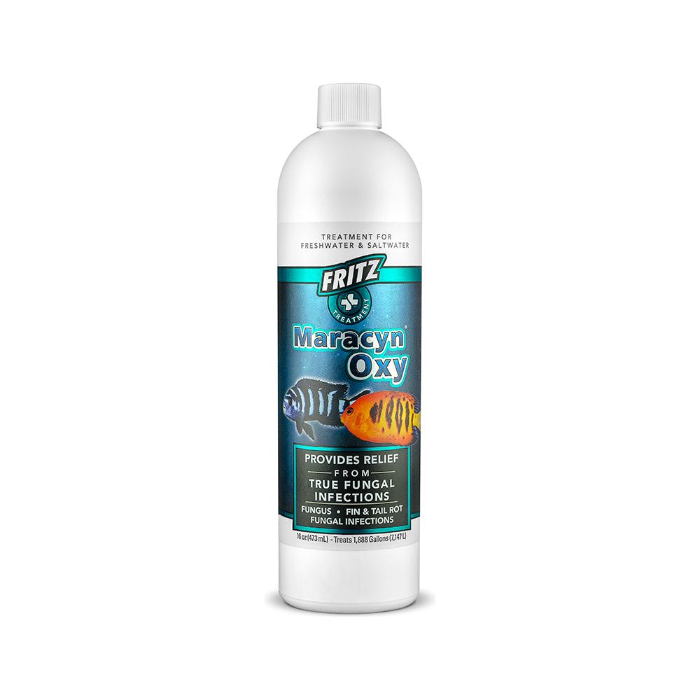 Maracyn Oxy Liquid – KGTropicals