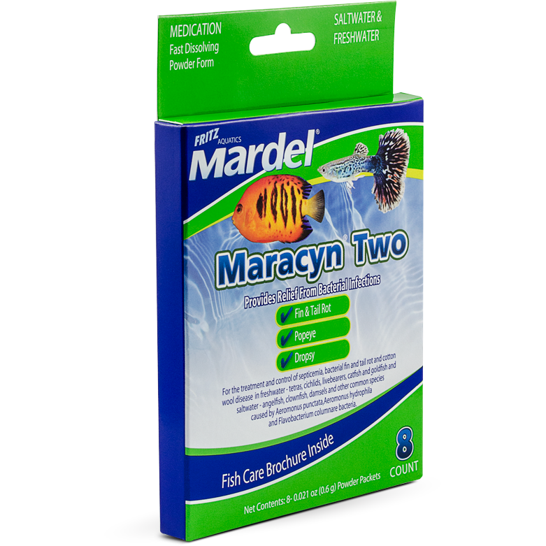 Maracyn Two – KGTropicals