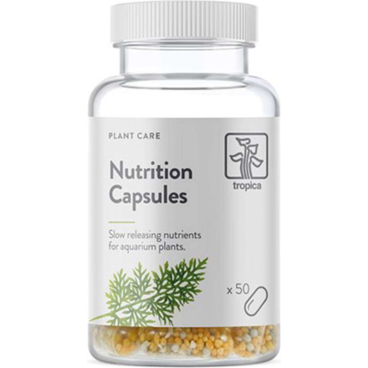Nutrition Capsules – KGTropicals