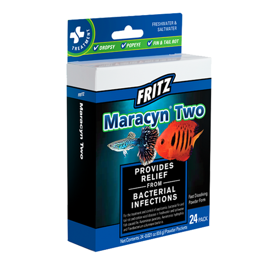 Maracyn Two – KGTropicals